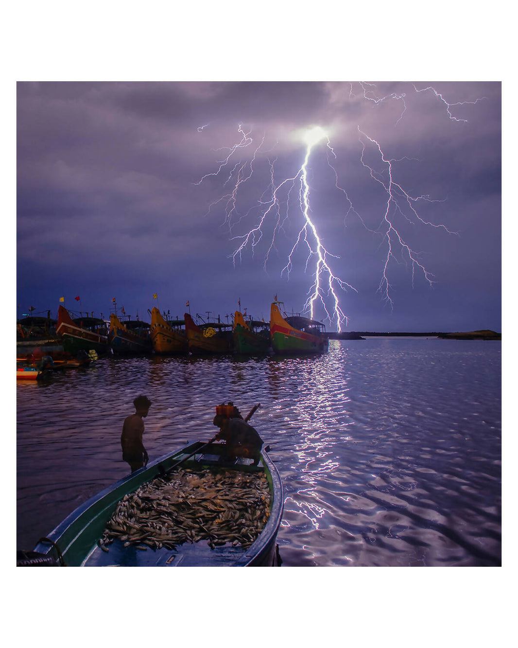 Nelson Viji – NO BORDERS SHOP